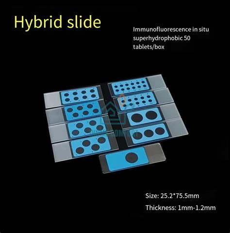 In Situ Hybridization Slide Buy Slide Glass Slide Factory In Situ Hybridization Slide