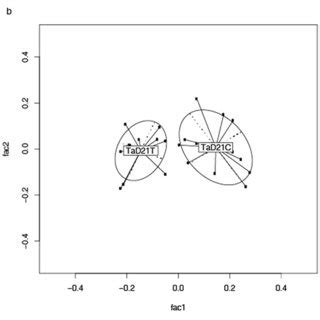 Extended Conditional Inference Forest Variable Importance Matrix OTUs