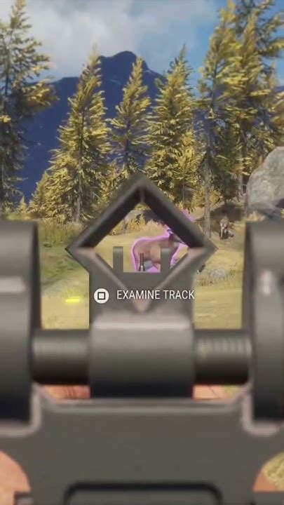 Day 2 Of Hunting Gaming Thcotw Shorts Youtube