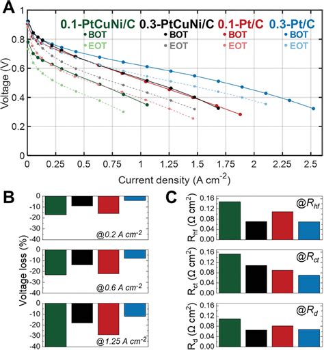 Impact Of Transition Metals And Electrocatalyst Layer Thickness On The