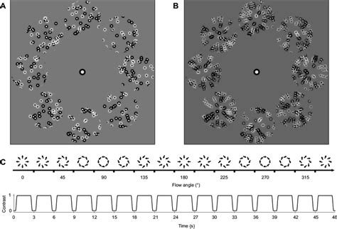 Stimuli And Functional Magnetic Resonance Imaging Fmri Paradigm A