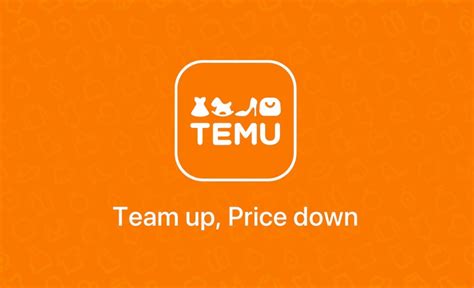 海外版拼多多temu购物攻略