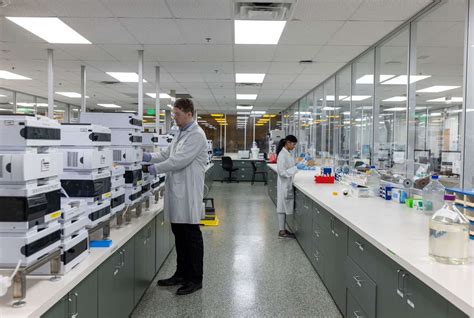 Analytical Development Services Pii