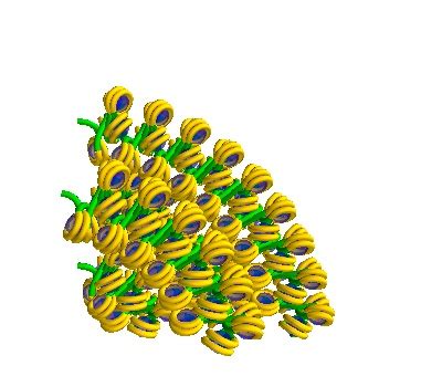 Generating Geometries For Geant FractalDNA Documentation
