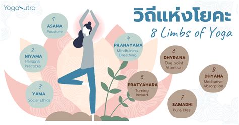 วิถีแห่งโยคะ 8 Limbs Of Yoga Yogasutra