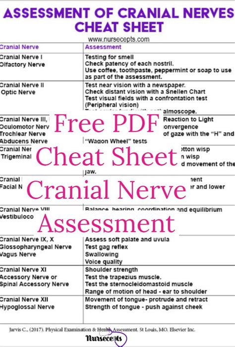 Cranial Nerve Neuro Assessment Cheat Sheet School Nursing