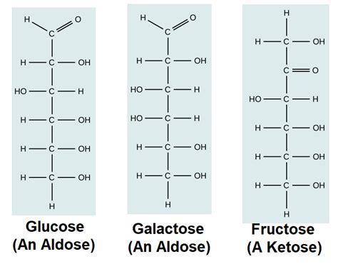 Glucose Fructose Galactose Structure
