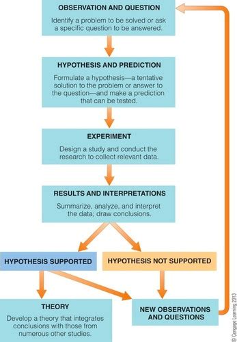 Lec Flashcards Quizlet