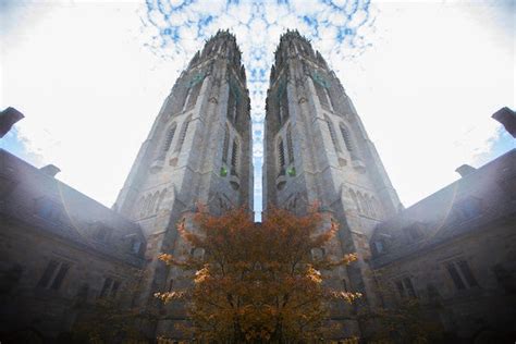 Pset4 Filter Reflect The Image Reflect Half Only CS50 Stack Exchange