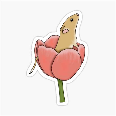 Cute Golden Gerbil In A Flower Sticker For Sale By Becky Marie