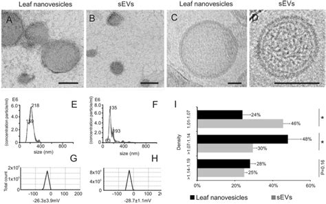 Plant Derived Nanovesicles Current Understanding And Applications For