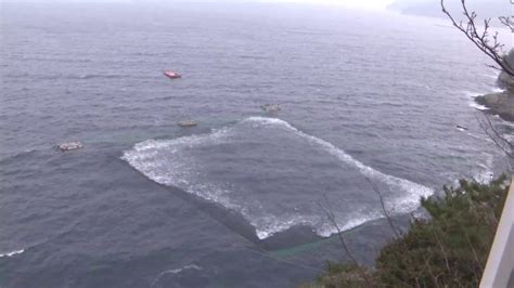 바닷속에서 올라노는 그물로 10000마리 숭어 잡기 거제도에서 실제로 일어나는 일 Youtube