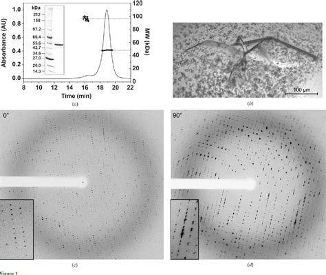 Figure 1 From Crystallization And Preliminary X Ray Diffraction