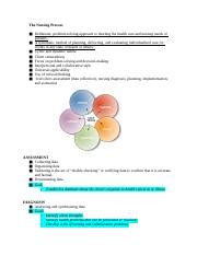 The Nursing Process From Book Docx The Nursing Process Deliberate Problem Solving Approach To