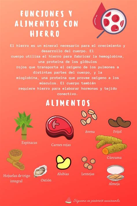 Funciones Y Alimentos Con Hierro Alimentos Con Hierro Nutricion