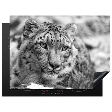 Muchowow Herdblende Abdeckplatte Porträt Eines Schneeleoparden Auf