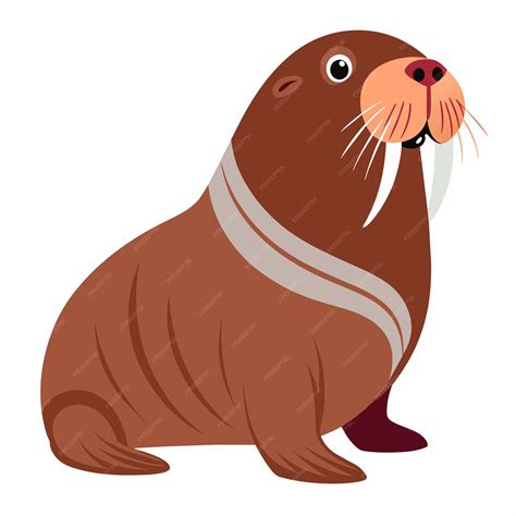 Premium Vector Walrus Vector Art Illustration Solid White Background 2