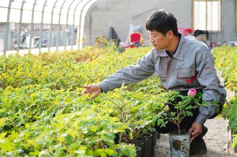 半月谈丨九千“职称农民”带活齐鲁乡村凤凰网