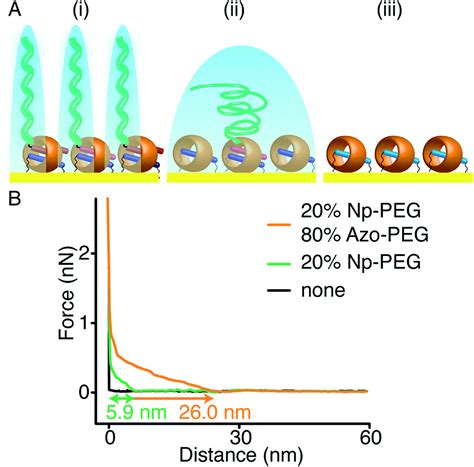 Cucurbit 8 Uril Directed Stimuli Responsive Supramolecular Polymer