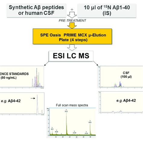 Schematic Representation Of The Method Employed Based On Spe And Download Scientific Diagram