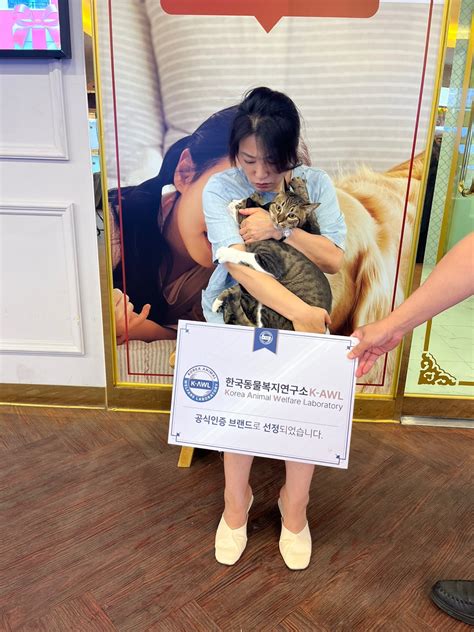 코리안숏헤어 비비덕수 달마시안 시고르자브종 슈나우저 폼스키 비글 스핑크스 풍산개 말라뮤트 꼬동드툴레아 파피용 개종류 봄베이 진돗개분양 셰퍼드 미니핀 화이트테리어