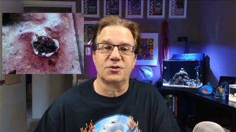 Lets Talk About Cyanobacteria Infestation Youtube