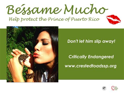 Resources Puerto Rican Crested Toad Conservancy