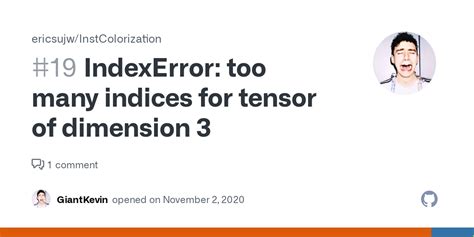 indexerror too many indices for tensor of dimension 3 · issue 19