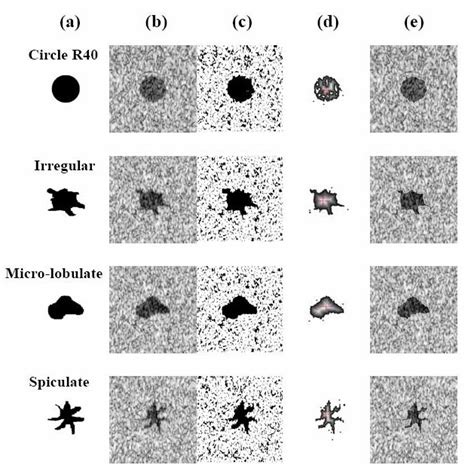 Results Of Simulated Images Contour Extraction Download High Resolution Scientific Diagram