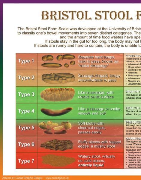 Bristol Stool Chart Meaning
