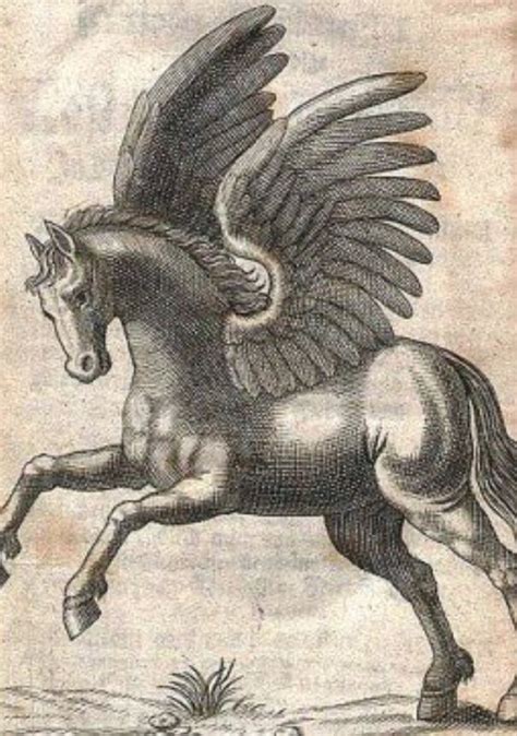 Areion Wiki Hiddenworldofworldofwitches Amino