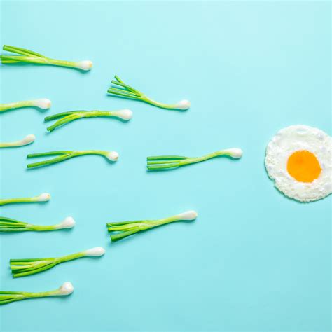 Top 10 Fertility Apps Hormone Health