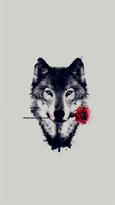 Minimalist Wolf Wallpapers Top Free Minimalist Wolf Backgrounds