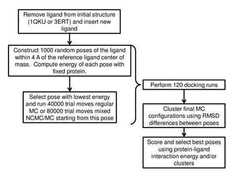 flowchart showing overview of docking clustering and scoring