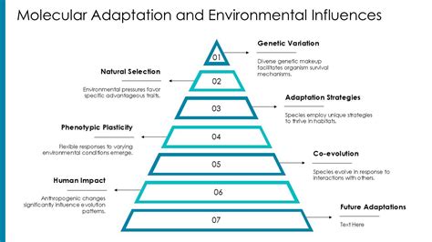 Molecular Adaptation And Environmental Influences Molecular Evolution Ppt Powerpoint Acp Ppt