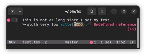 Show Diagnostic Marker In Correct Line If `soft Wrap` Is Enabled