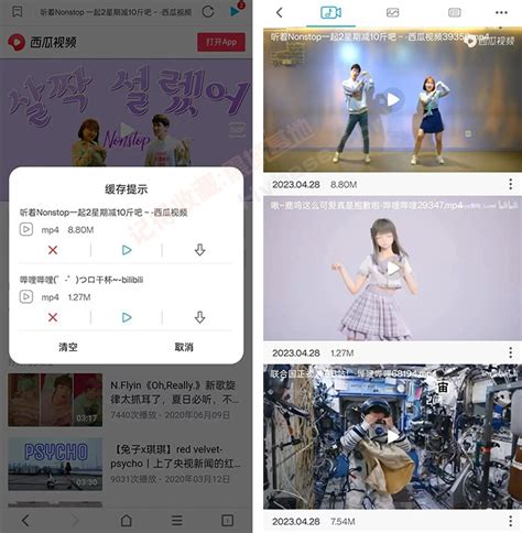 Android 最强视频嗅探 Bl黑狮浏览器v10112 黑域基地