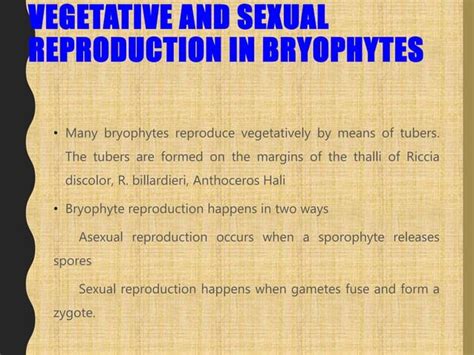 Bryophyte Ppt