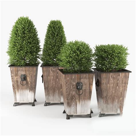 Plant D Model D Max Fbx Obj Dshopfree
