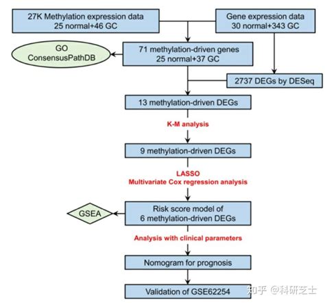 基于dna甲基化驱动基因构建胃癌预后列线图模型（if 5 03 知乎