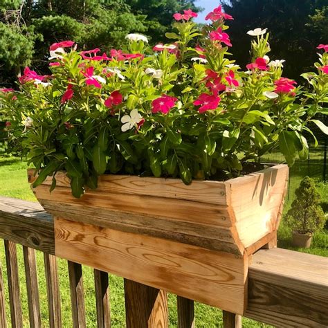 Rail Planter Box Etsy