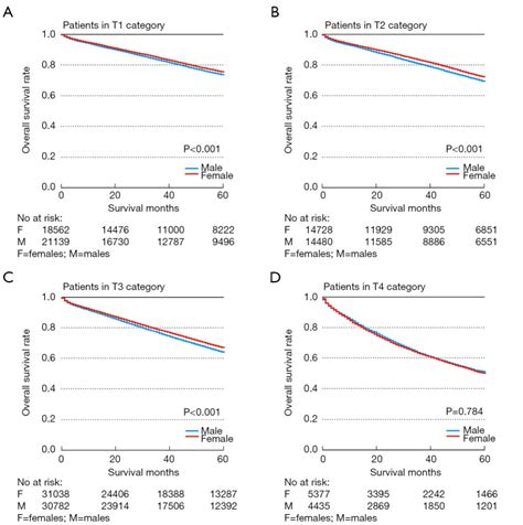 The Predictive And Prognostic Value Of Sex In Localized Colorectal