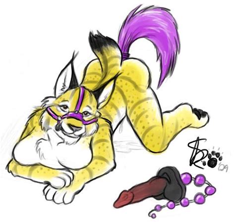 Rule 34 Anthro Bit Gag Bobcat Buttplug Tail Feline Female Gag Looking