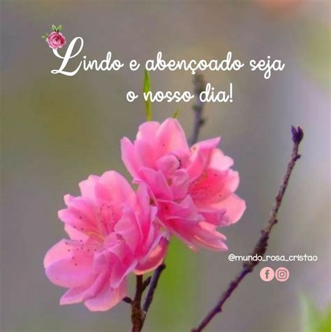 🌷mensagens De Fé On Instagram Bom Dia Que Deus Nos Abençoe Ilumine