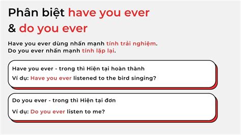 Cách Trả Lời Câu Hỏi Have You Ever Một Cách Chuyên Nghiệp