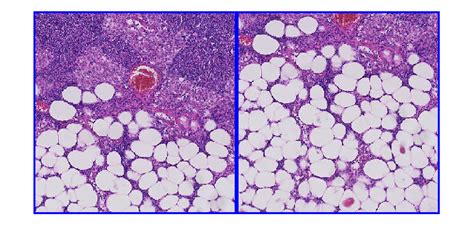 Bigimagedatastore To Be Removed Datastore To Manage Blocks Of Bigimage Data Matlab