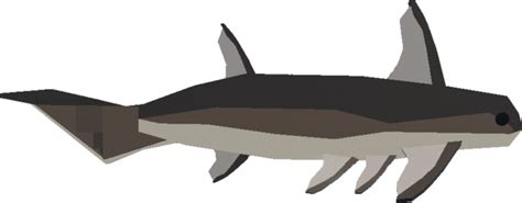 Acanthodii Official Fisch Wiki