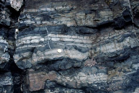 Gunflint Chert Earth Logs