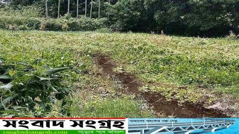 শিবপুরের দুলালপুর এলাকার একটি ডোবা থেকে যুবকের গলিত লাশ উদ্ধার