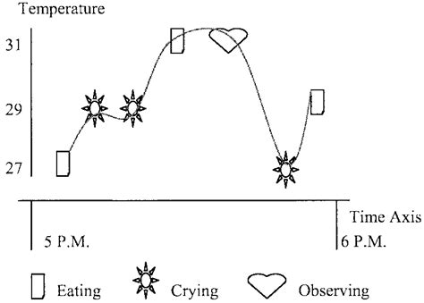 Timeline Of The Birds Activities 2d Visualization Download Scientific Diagram
